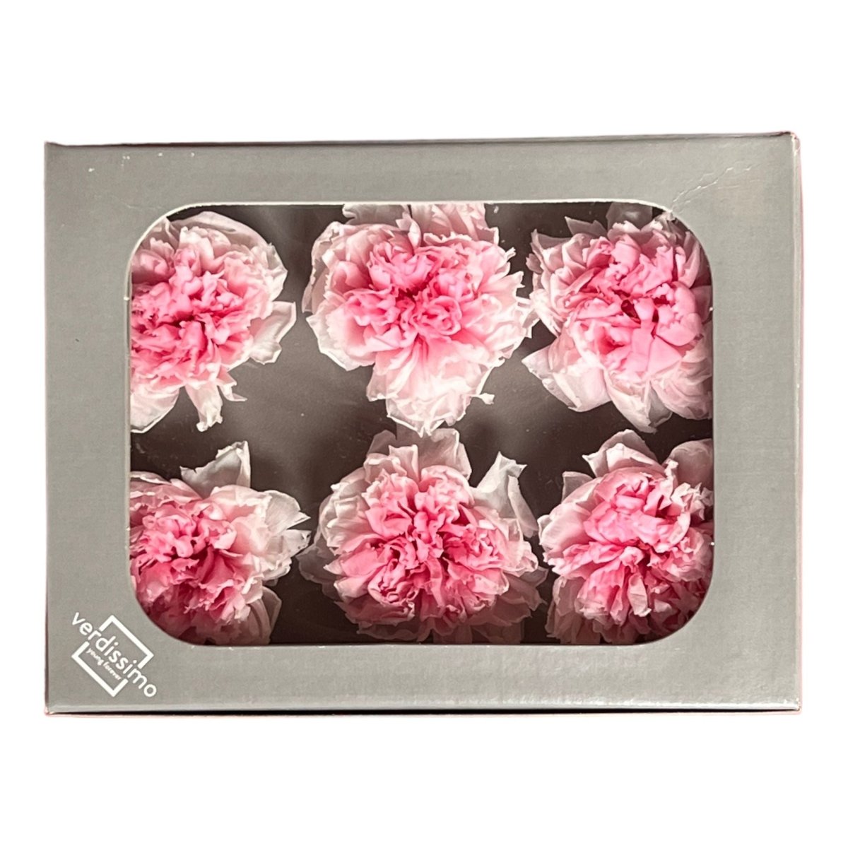 Garoafa Criogenata Bicolor Alb-Roz (Ø5,5cm, H6-7cm, 6buc) - Depozitul ...