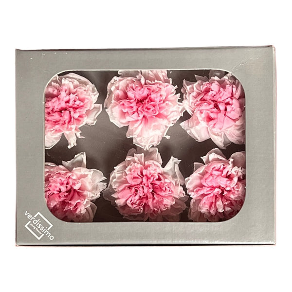 Garoafa Criogenata Bicolor Alb-Roz (Ø5,5cm, H6-7cm, 6buc) - Depozitul ...